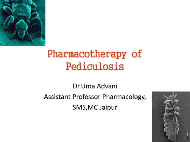 Pharmacotherapy of pediculosis | PPT