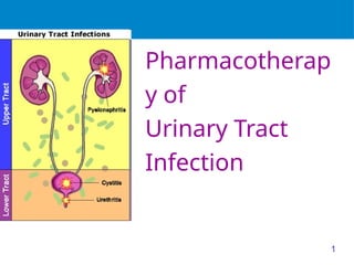 Pharmacotherapy of Urinary tract infections and Sexually transmitted ...