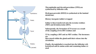 pharmacotherapythyroiddisorders-161107092905.pptx