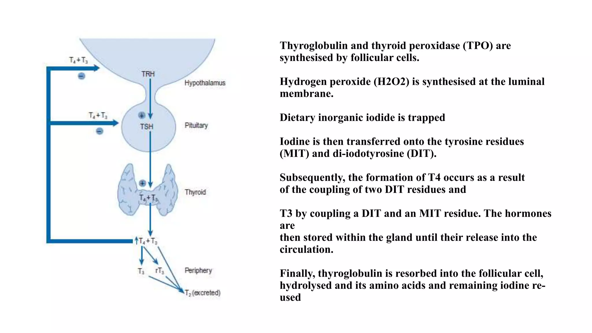 Pharmacotherapy thyroid disorders | PPTX
