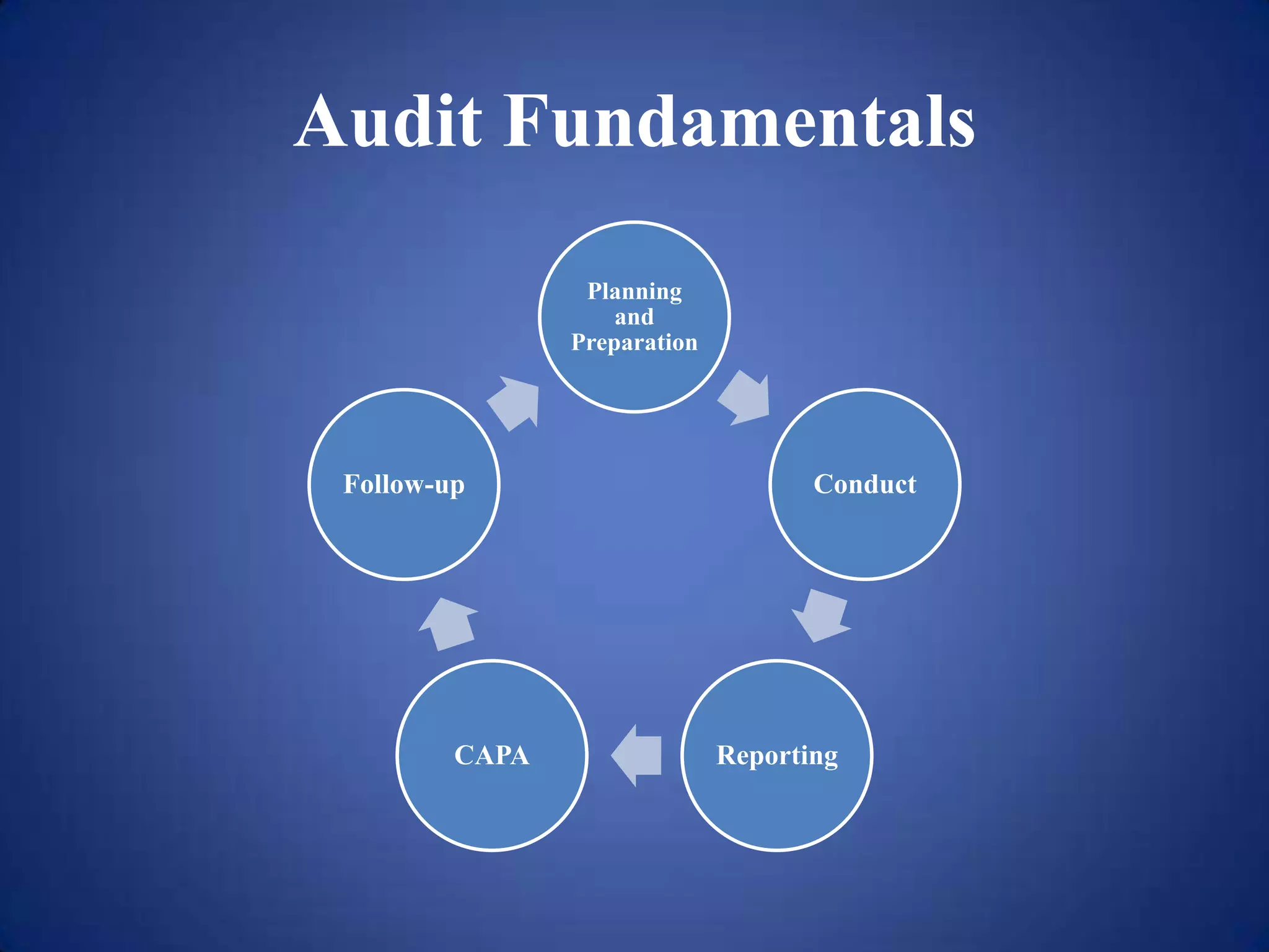 Pharmacovigilance Audit | PPTX
