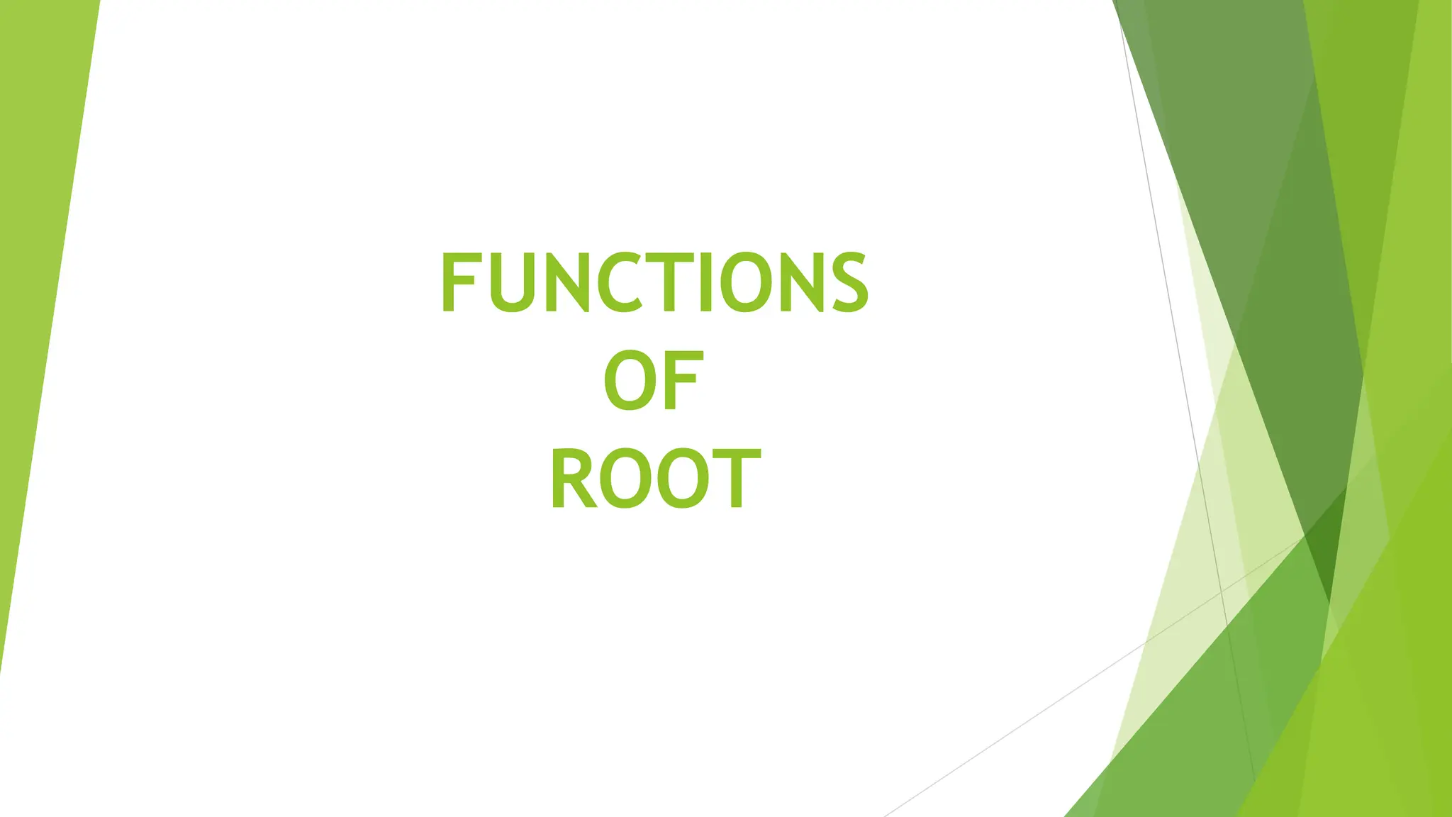 ROOTS - Basics, Function, Various Parts - Maturation, Root-Hairs ...