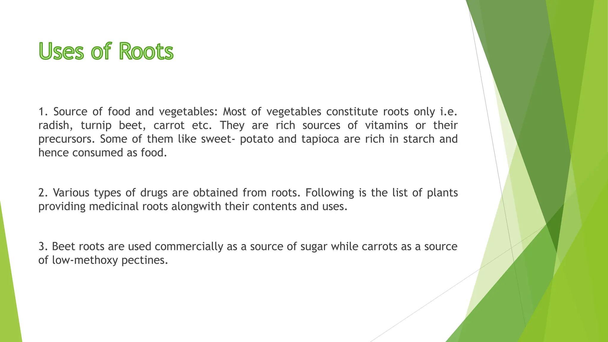 ROOTS - Basics, Function, Various Parts - Maturation, Root-Hairs ...