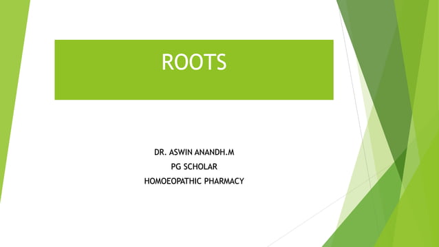ROOTS - Basics, Function, Various Parts - Maturation, Root-Hairs ...