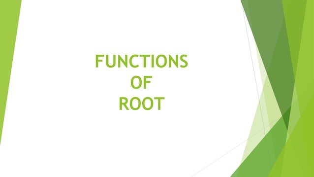 ROOTS - Basics, Function, Various Parts - Maturation, Root-Hairs ...