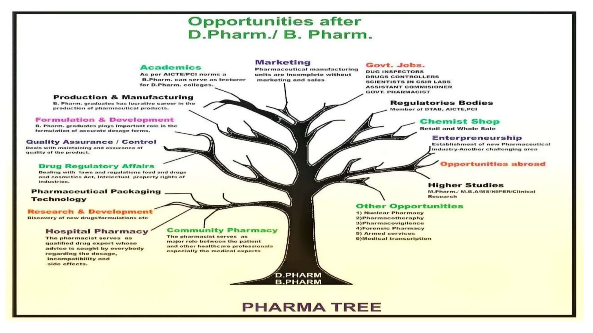 "Exploring Pharmacy as a Career: Pathways, Opportunities, and Impact ...
