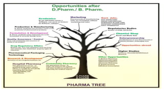 "Exploring Pharmacy as a Career: Pathways, Opportunities, and Impact ...