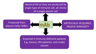 Monoclonal Antibodies (Hybridoma Technology) | PPT