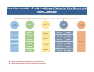 Pharmacy Study Plan Graphic Representation.pdf