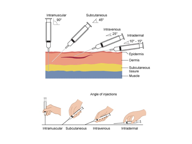 Rout of drugs administration | PPTX