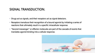 Pharmacodynamics | PPTX