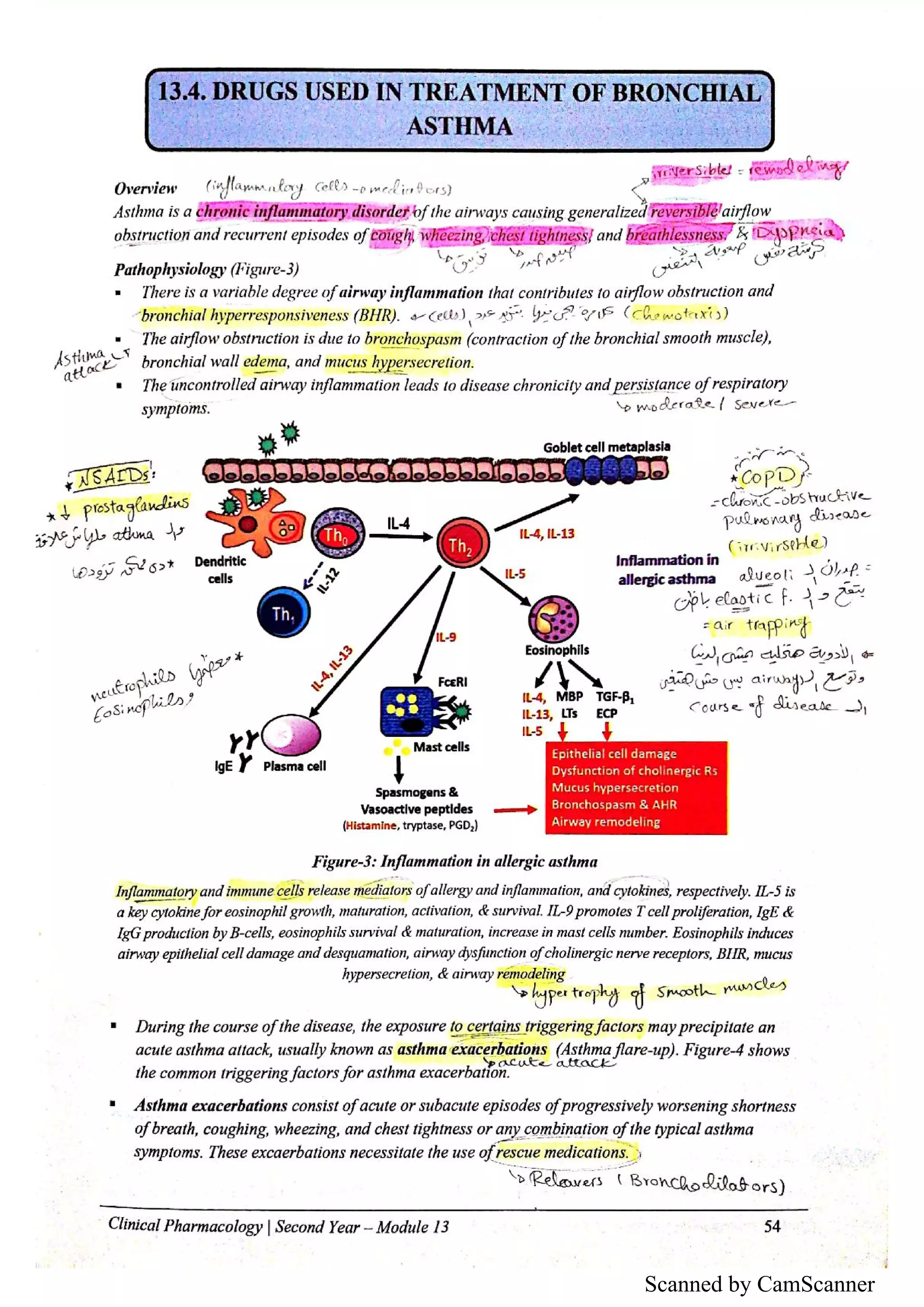 Pharma mod. 13 respiratory | PDF