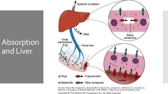 Effect of Liver Disease on Drug Metabolism