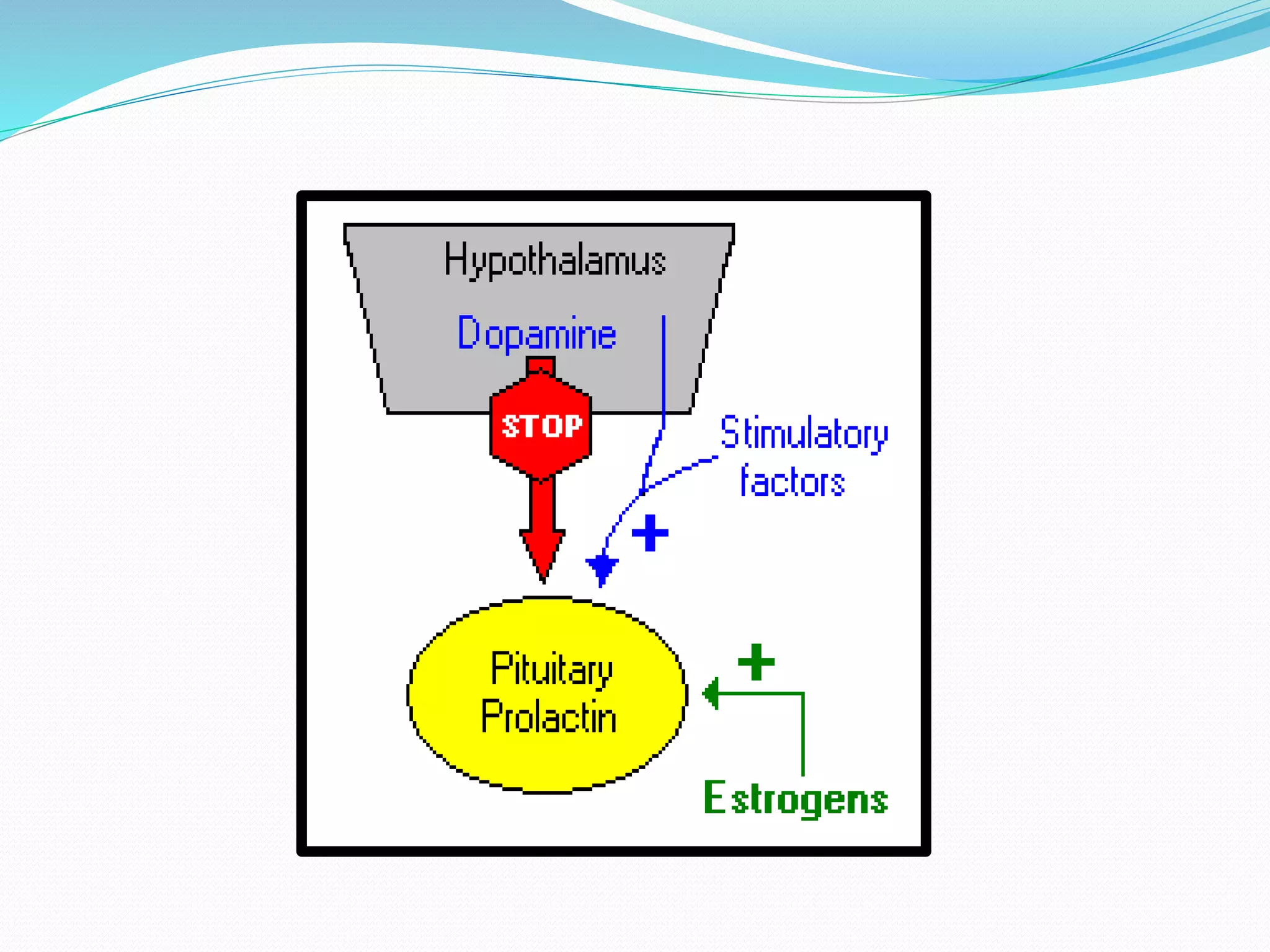 drugs used to treat hypothalamus and anterior pituitary hormones | PPTX