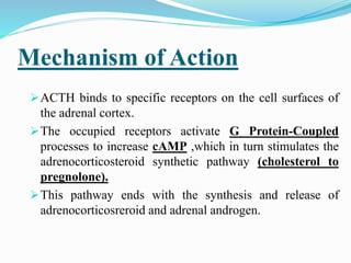 drugs used to treat hypothalamus and anterior pituitary hormones | PPTX