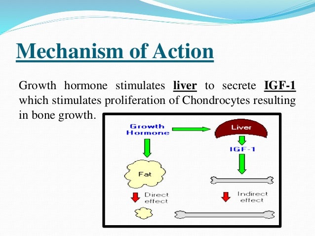 Leuprolide Mechanism Of Action