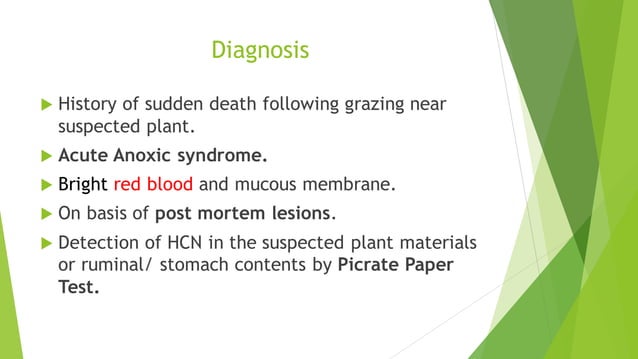 Hydrocyanic acid or Cyanogenetic Plant Poisoning.pdf