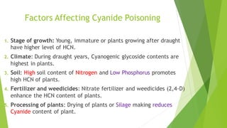 Hydrocyanic acid or Cyanogenetic Plant Poisoning.pdf