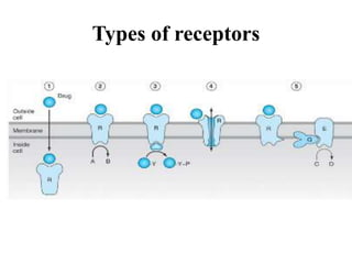 [Pharma] receptors | PPTX