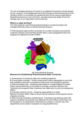 Pharma sales territory management | PDF