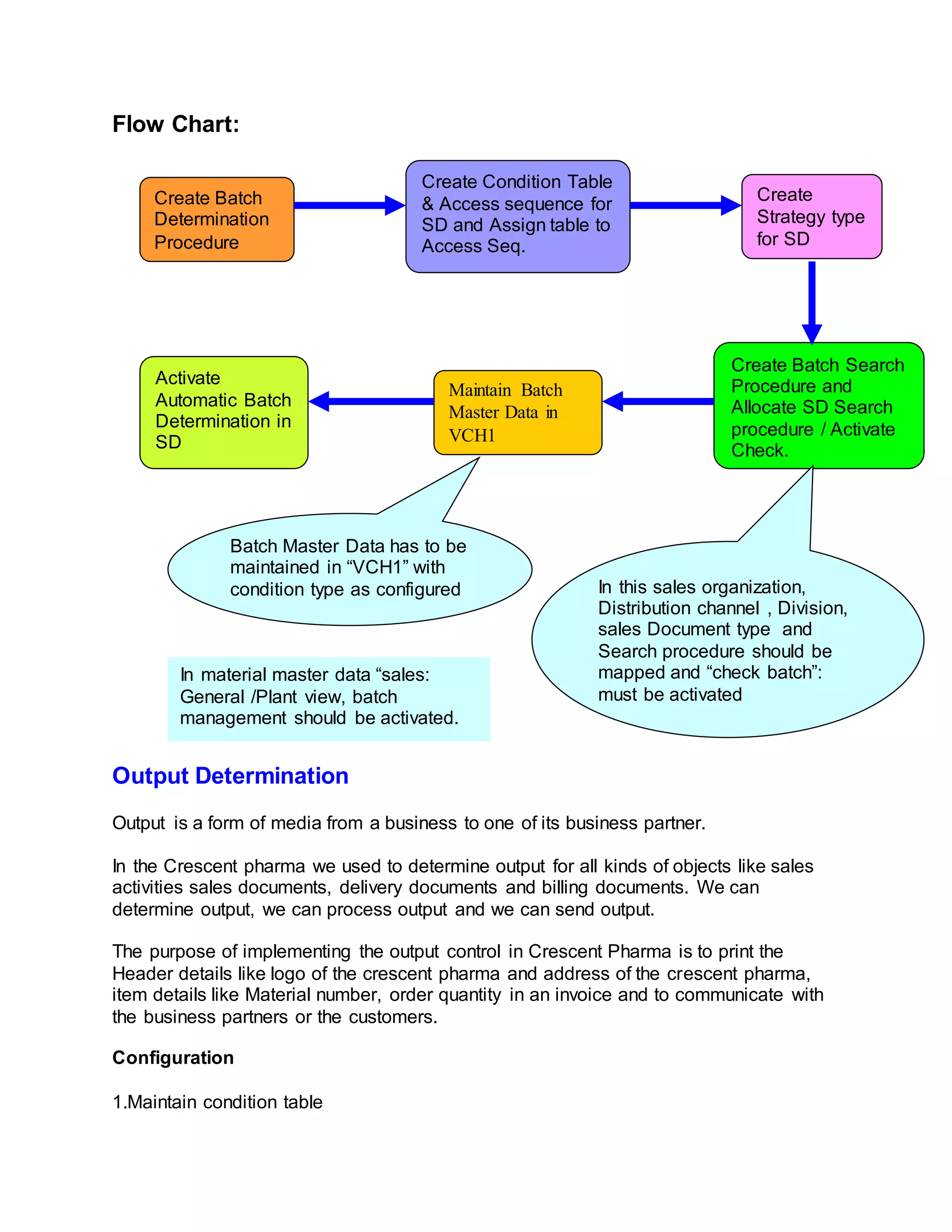 SAP SD Business Blueprint | DOCX | Logistics | Business
