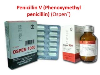 Pharmatube antibiotics-2-penicillins | PPT