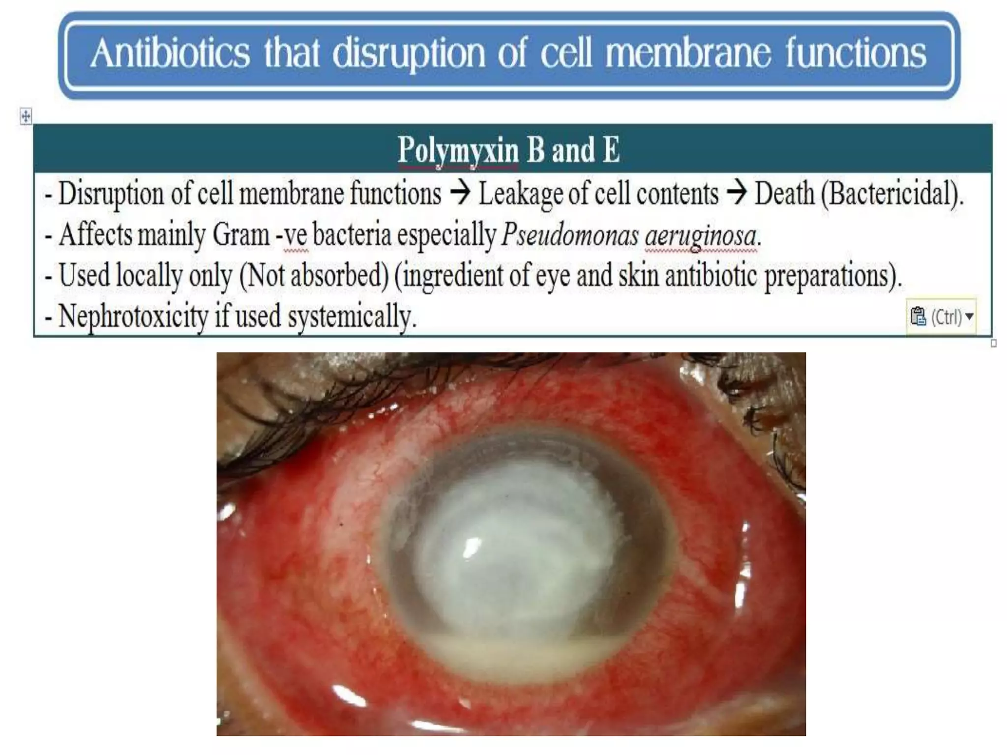 Pharmatube antibiotics-3-cephalosporins and other cell wall inhibitors ...
