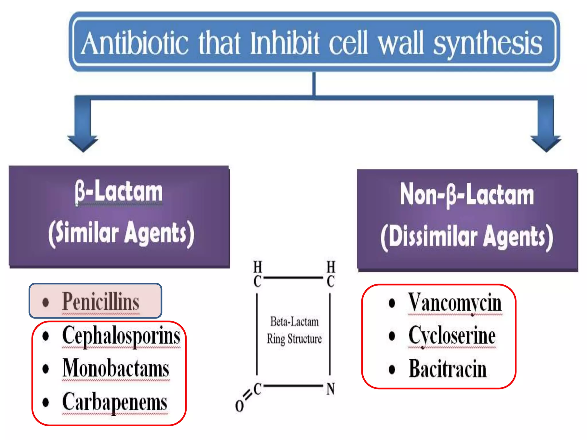 Pharmatube antibiotics-3-cephalosporins and other cell wall inhibitors ...