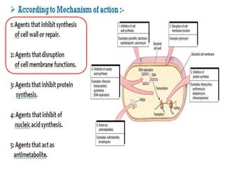 Pharmatube antibiotics-3-cephalosporins and other cell wall inhibitors ...