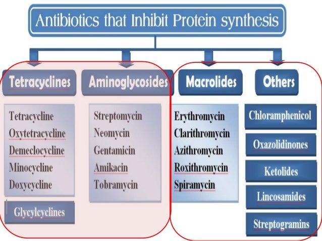 Pharmatube antibiotics-5-protein synthesis inhibitors (part 2)