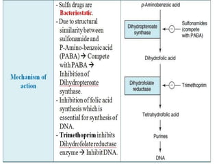 Pharmatube antibiotics-7-sulfa drugs | PPTX