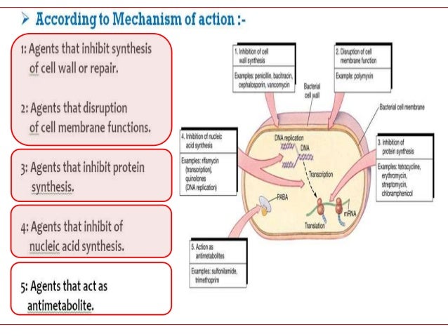 Pharmatube antibiotics-7-sulfa drugs
