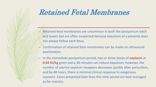 Pharmacological control of reproduction in dog and cat | PPTX