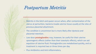 Pharmacological control of reproduction in dog and cat | PPTX