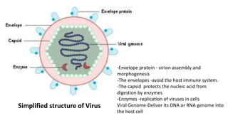 Antiviral drugs part1 | PPT