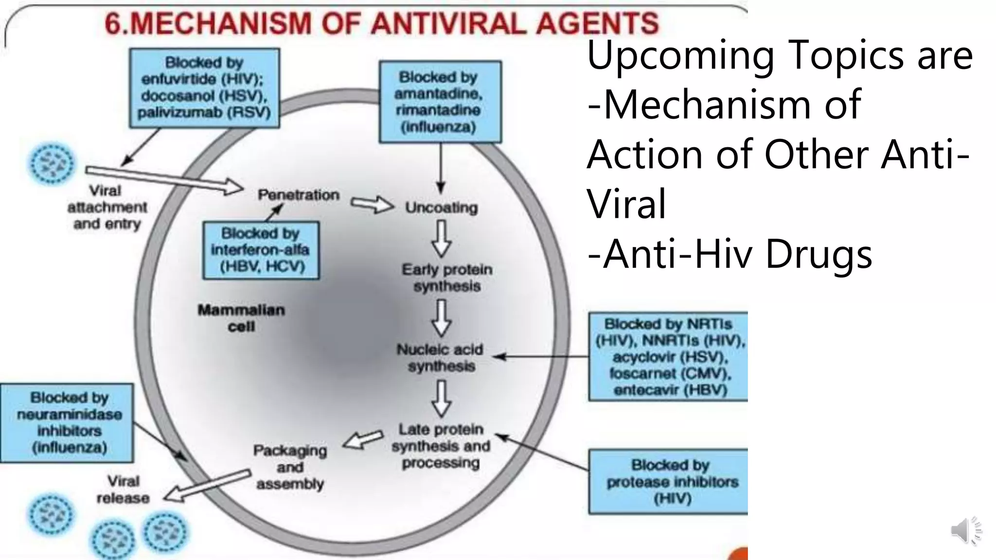 Important Synthesis of Antiviral Drugs | PPTX