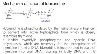 Important Synthesis of Antiviral Drugs | PPTX