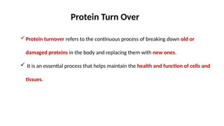 Pharm D metabolism of Proteins introduction [Autosaved].pptx