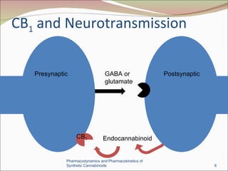 Pharmacodynamics and Pharmacokinetics of Synthetic Cannabinoids | PPT