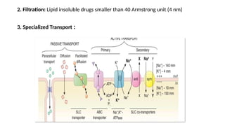 Pharmokinetics Part 1 - Absorption and Distribution | PPTX