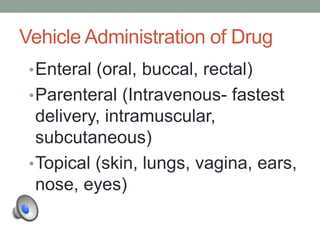 Pharm Absorption | PPT