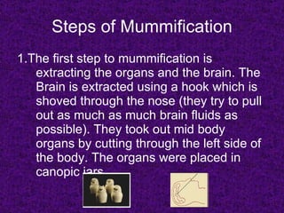 Burial Process | PPT