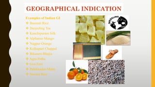 Phar validatio.general principles of ipr. by jitu | PDF