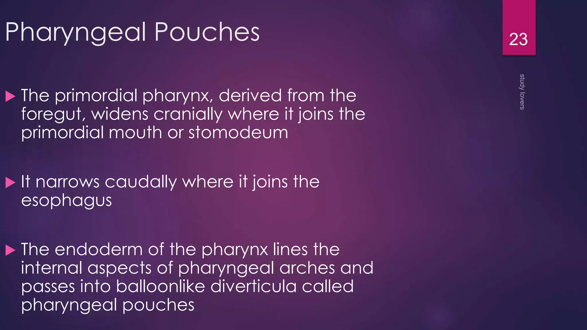 Pharyngeal arches pouches and clefts | PPTX