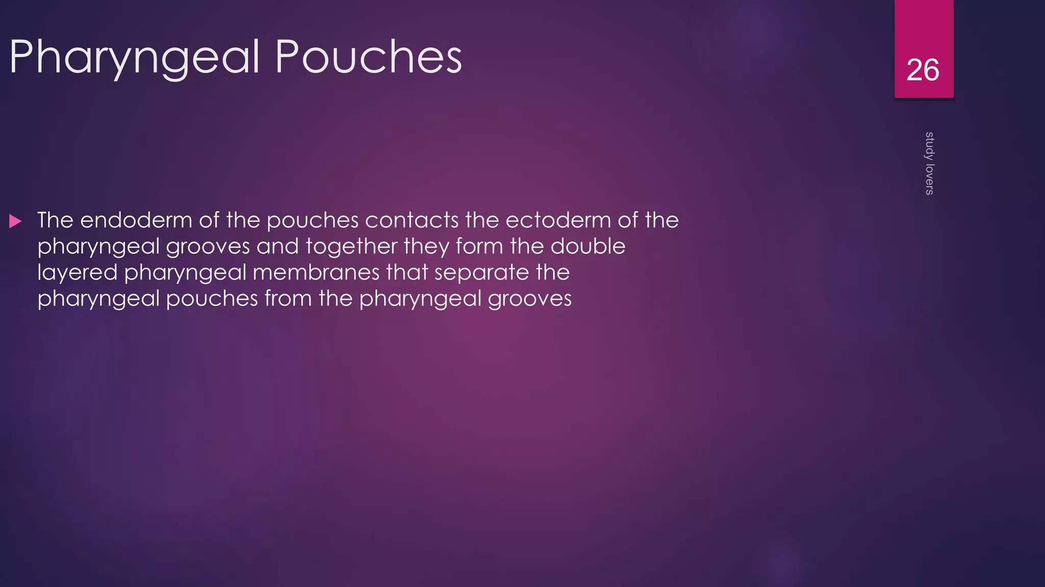 Pharyngeal arches pouches and clefts | PPTX