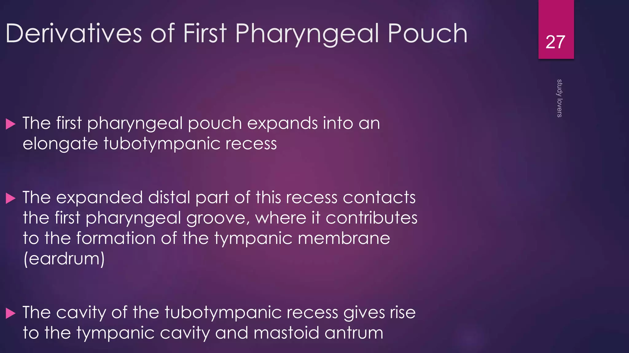 Pharyngeal arches pouches and clefts | PPTX