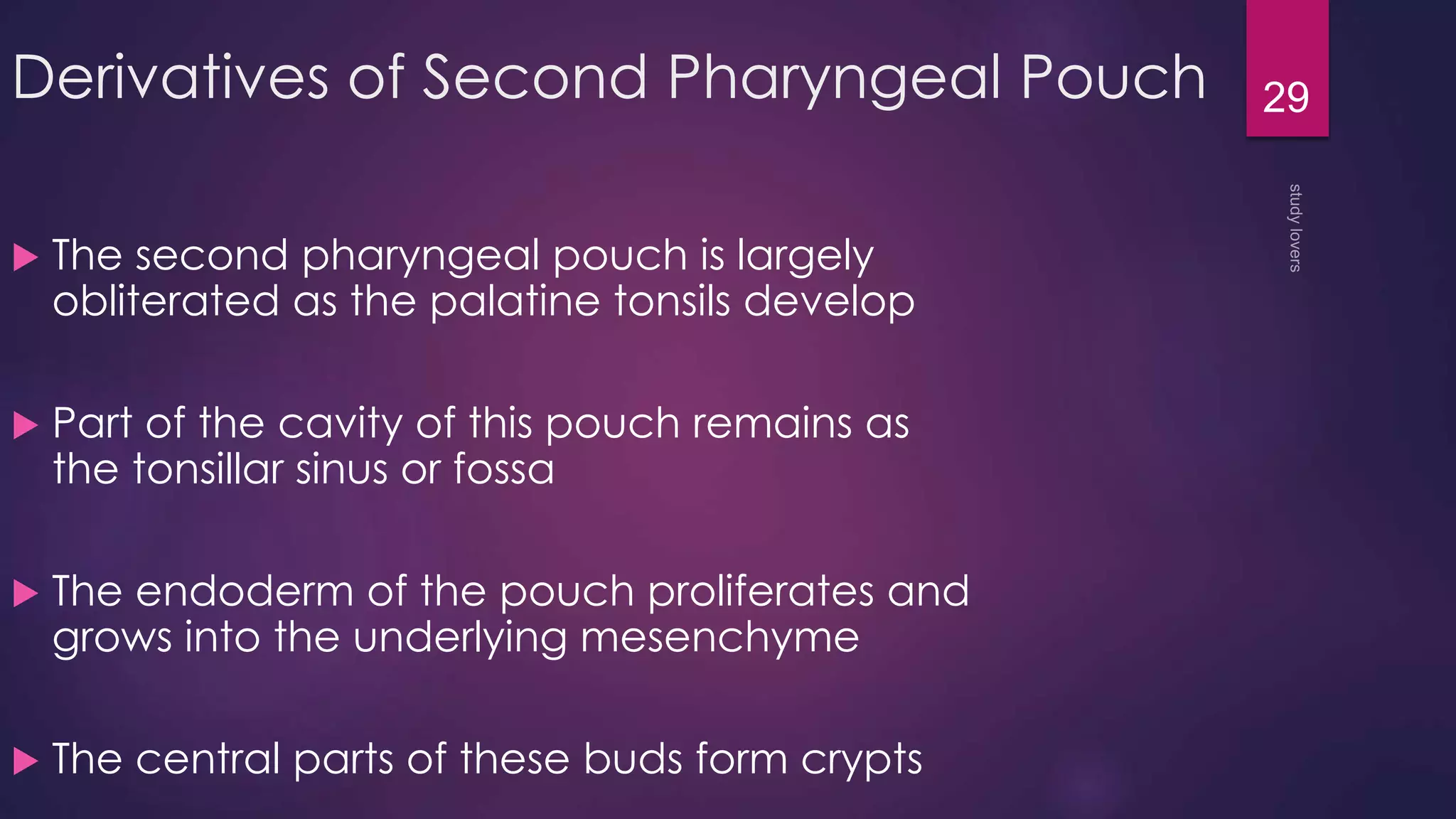 Pharyngeal arches pouches and clefts | PPTX