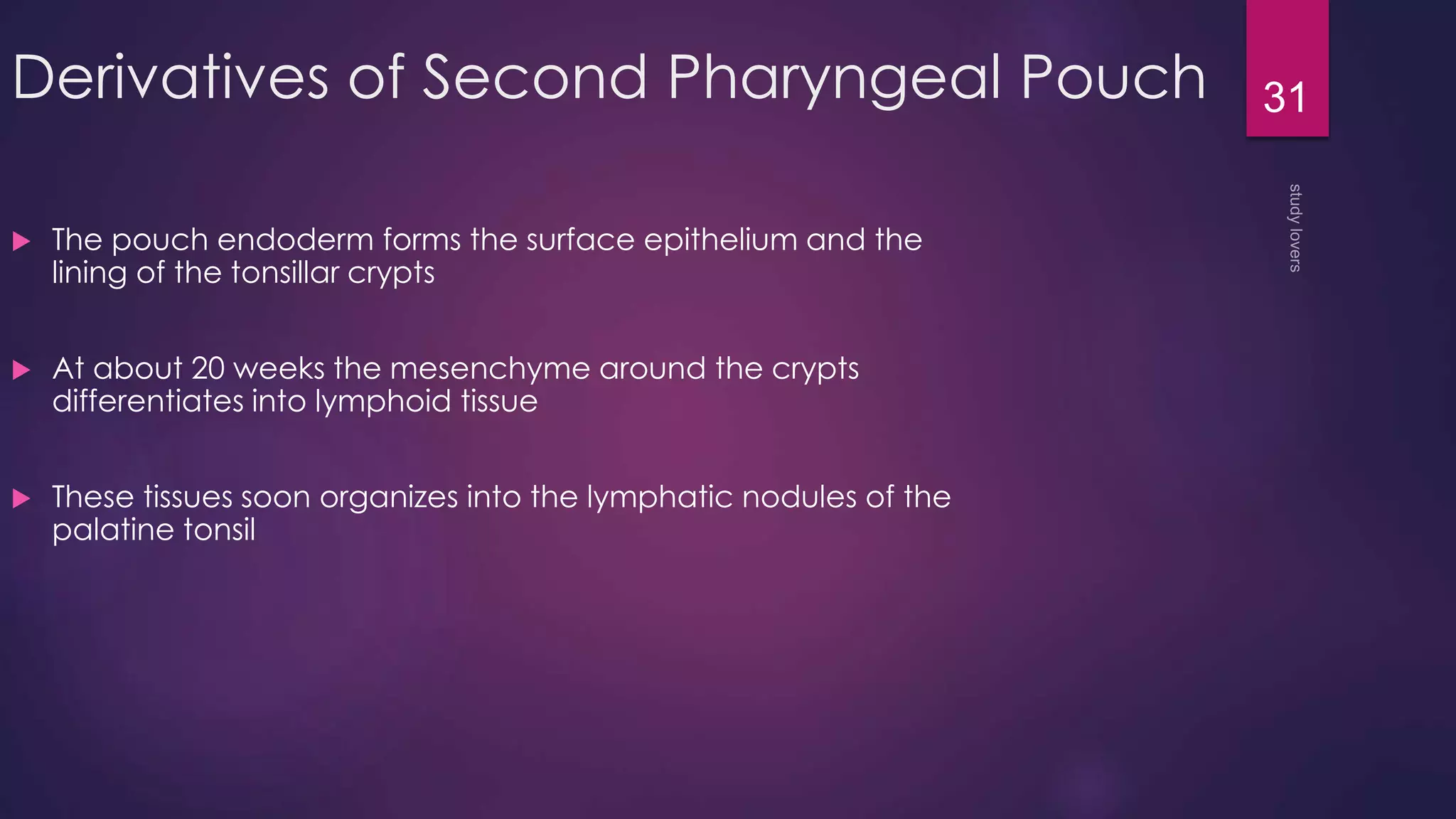 Pharyngeal arches pouches and clefts | PPTX