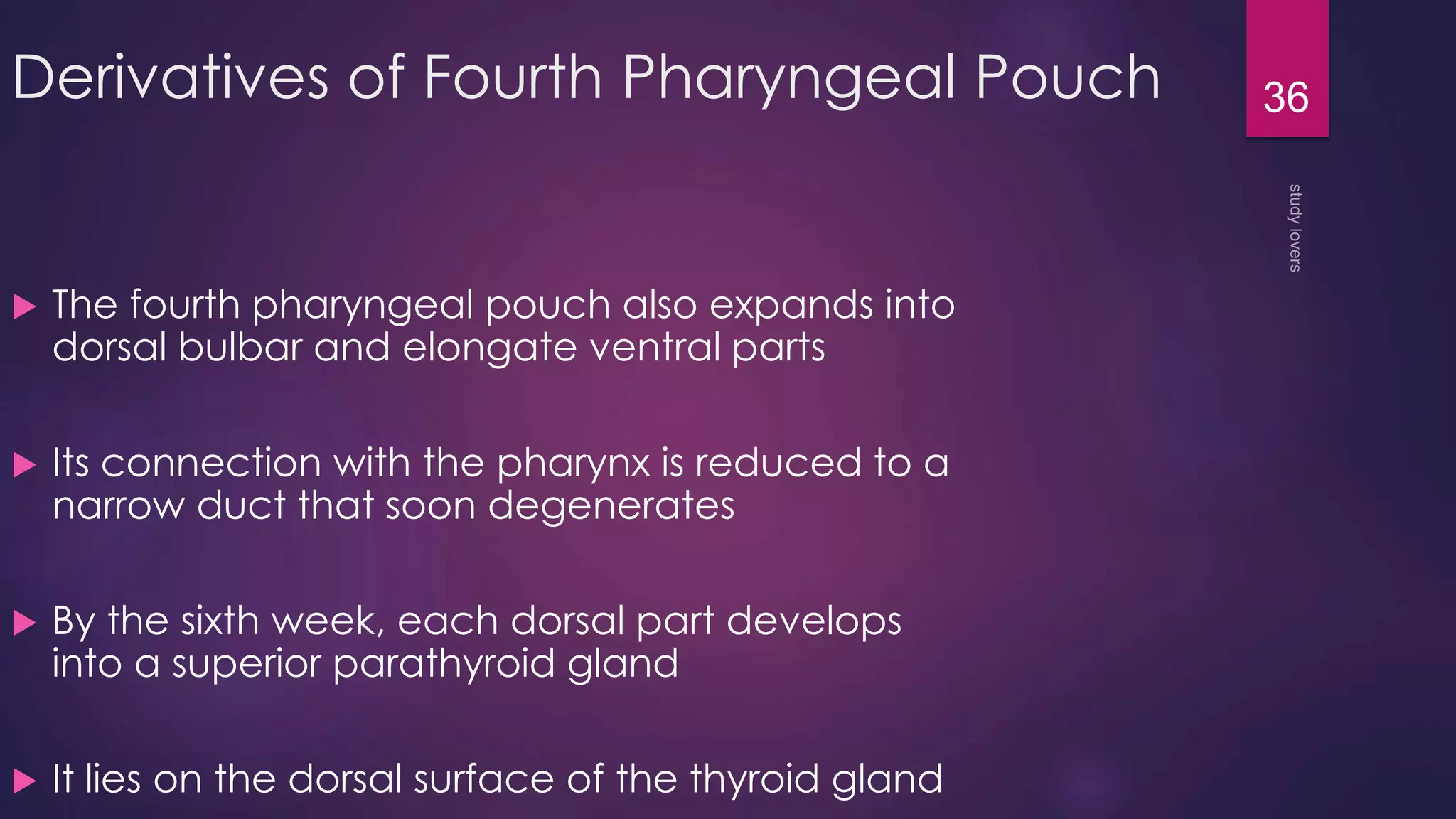 Pharyngeal arches pouches and clefts | PPTX