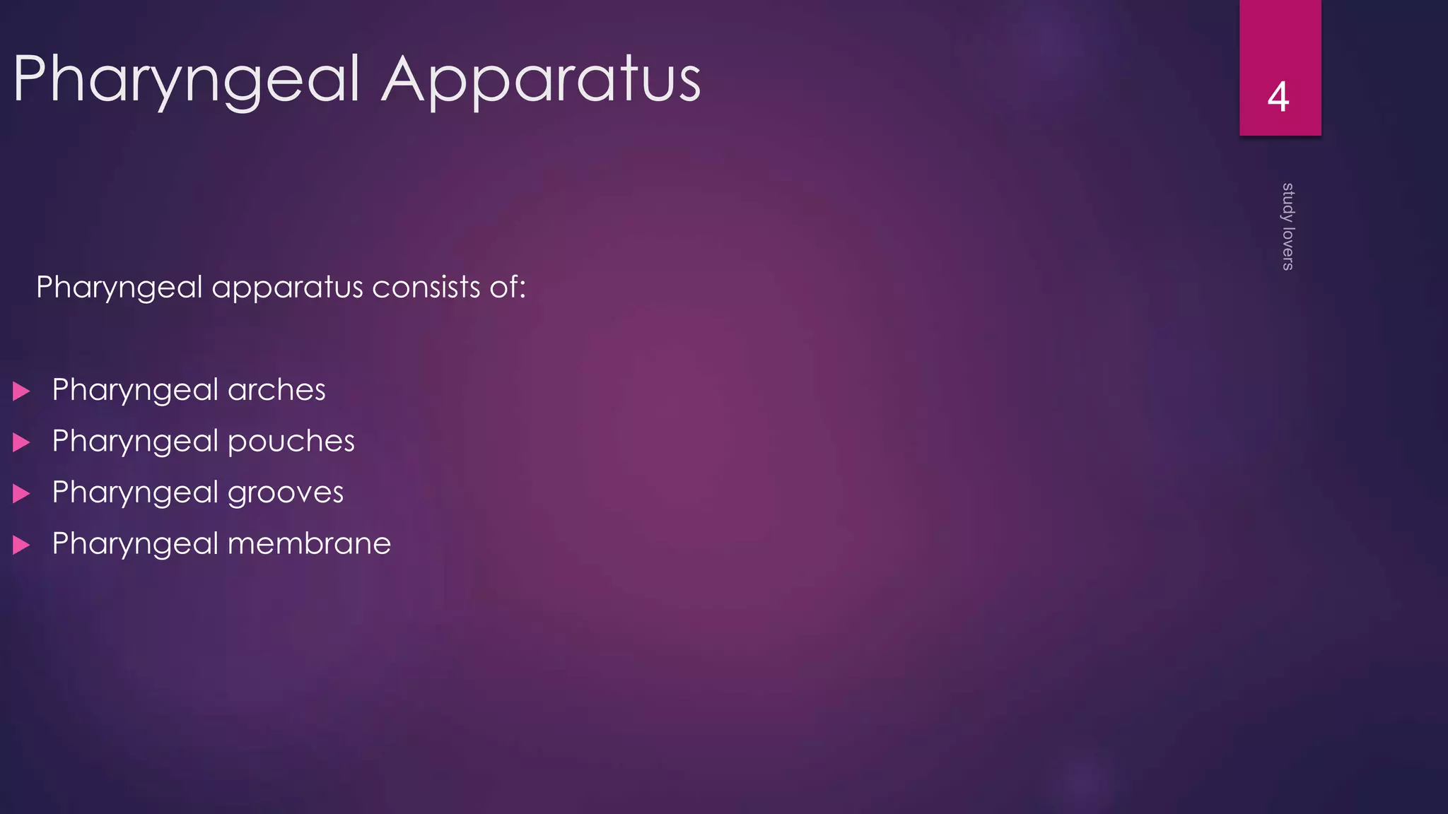 Pharyngeal arches pouches and clefts | PPTX